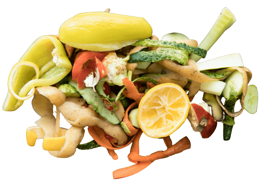 Vegetable Peels - Sustainable Stanford