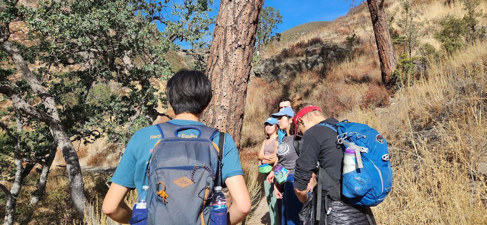 Wellness for Students - Sustainable Stanford