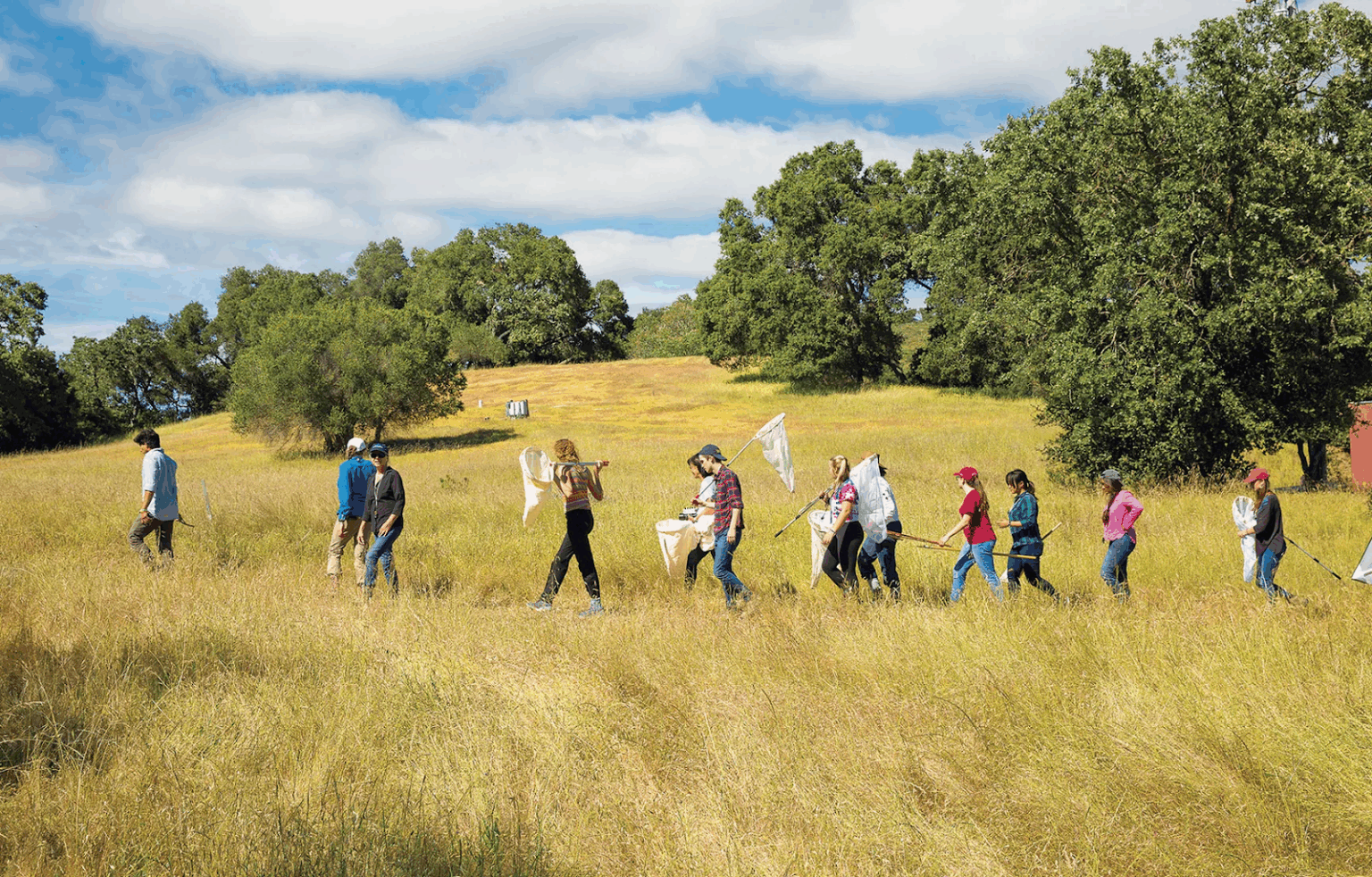 Beyond the Preserve: Jasper Ridge as a Classroom, Community, and ...