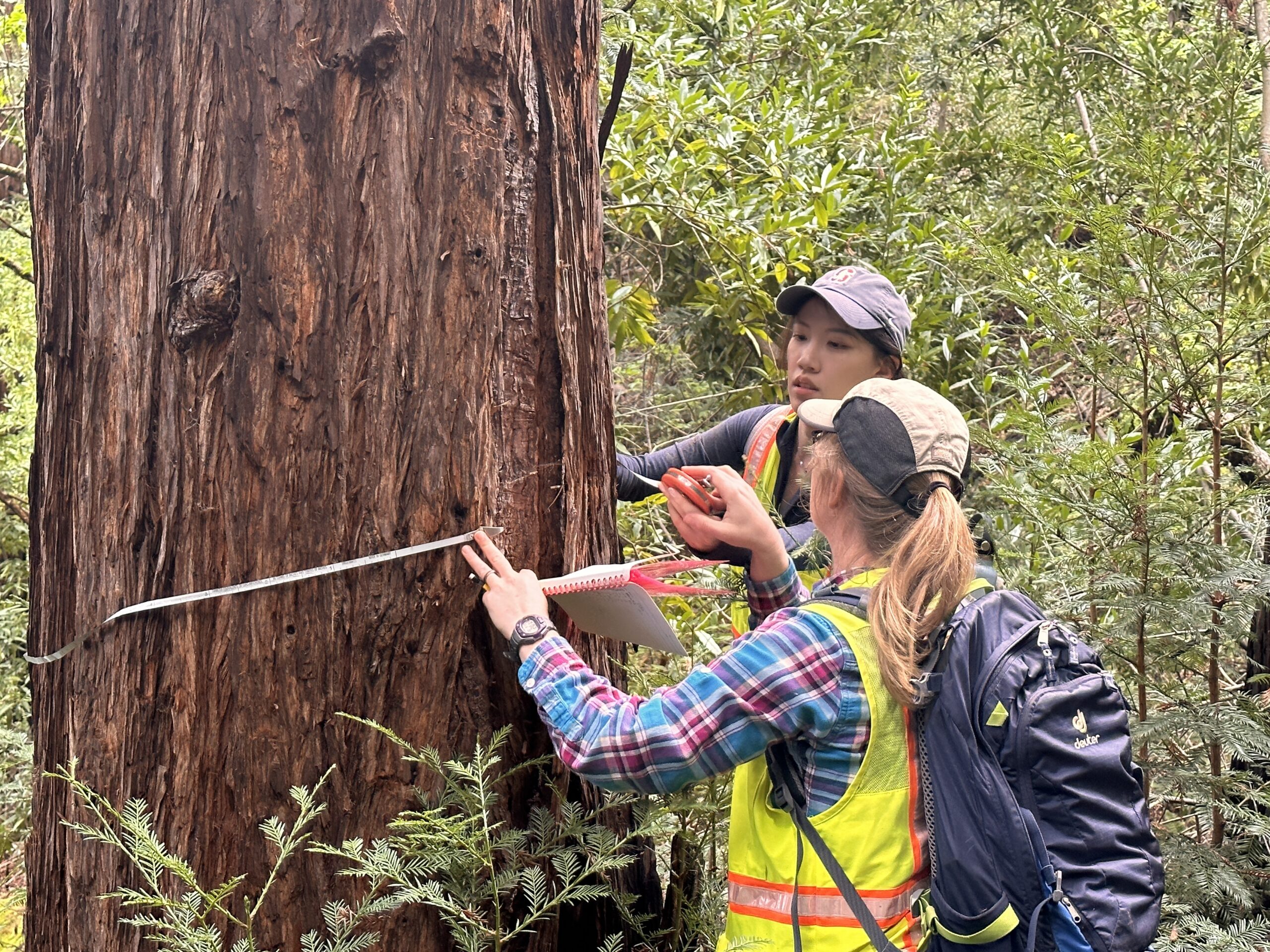 Propose a Project for Stanford’s Living Lab for Sustainability ...